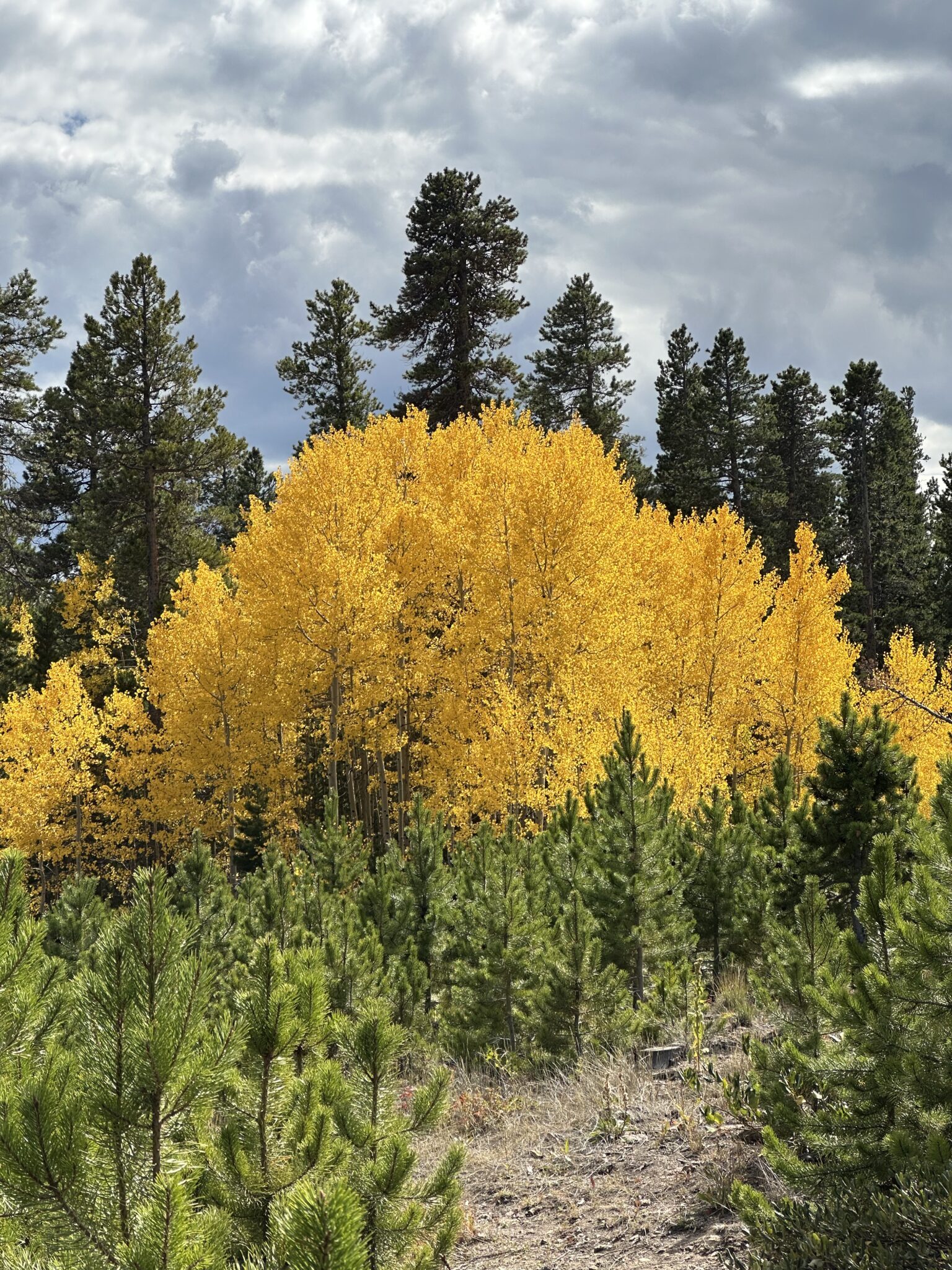Experiencing Colorado's Four Distinct Seasons | Experience Colorado